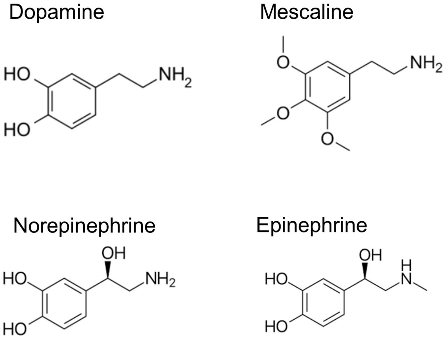 Chronic pain and psychedelics: a review and proposed mechanism of ...
